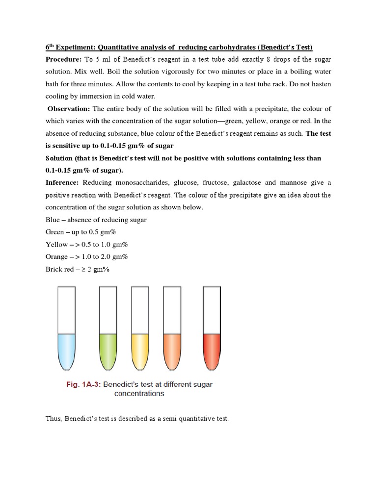 Benedict's Test | PDF
