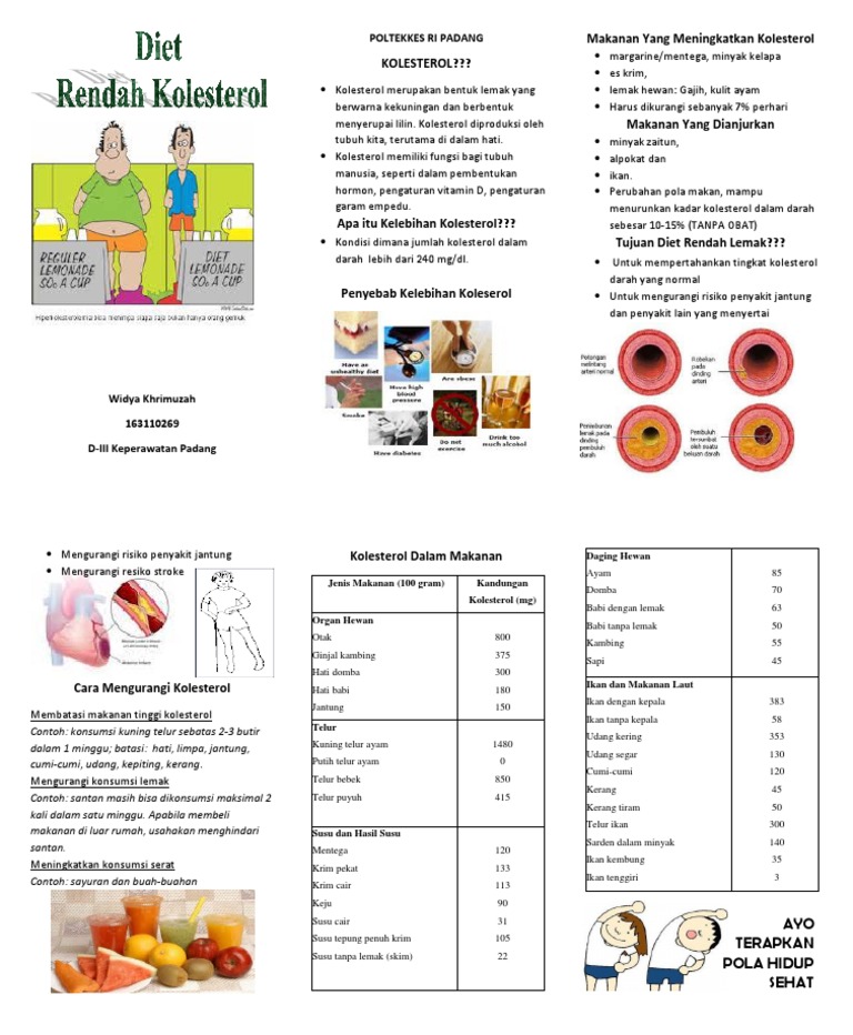 Leaflet Kolesterol | PDF