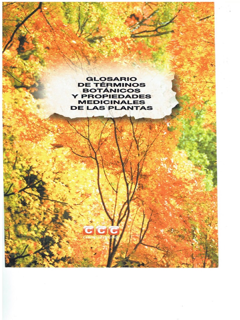 Nat - Lección 1 - Glosario de Terminos Botanicos y Propiedades ...