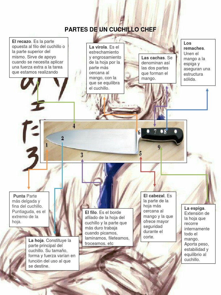 Partes y funciones del cuchillo chef | PDF