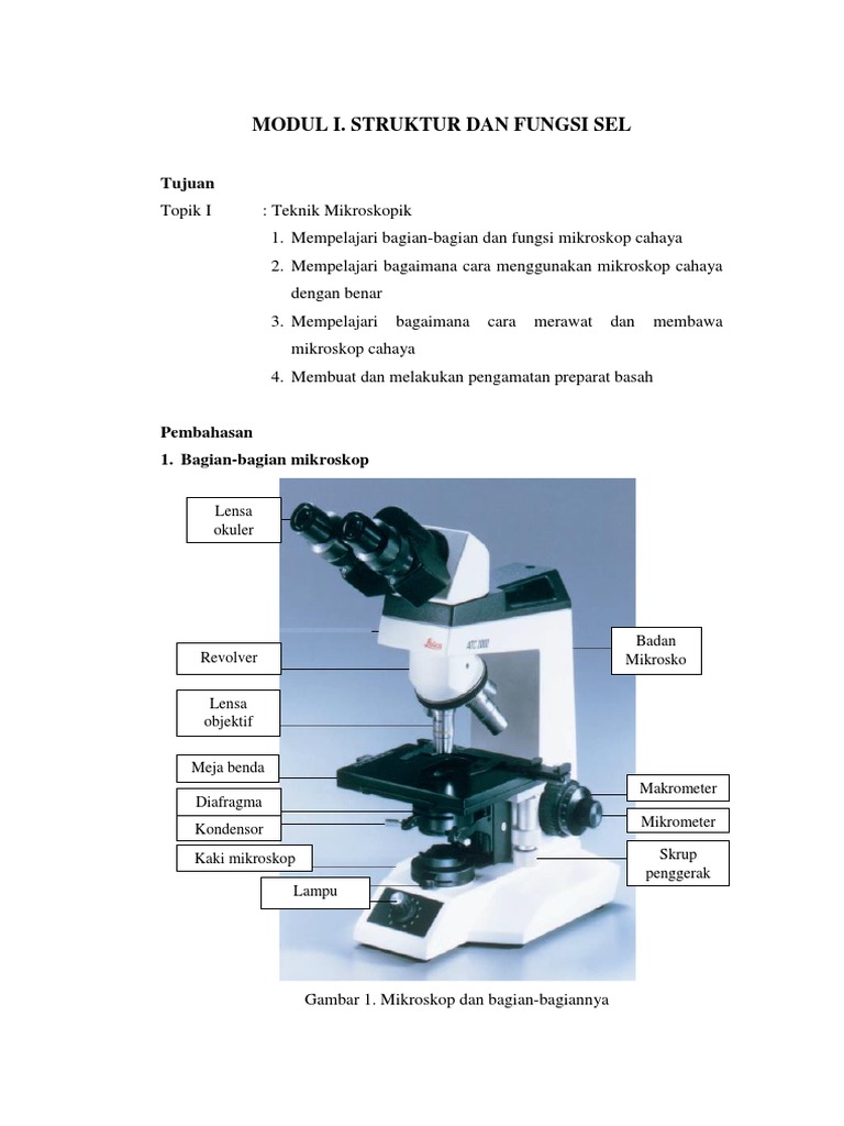 Modul 1 Mikrobiologi Ilmu Kelautan Undip | PDF