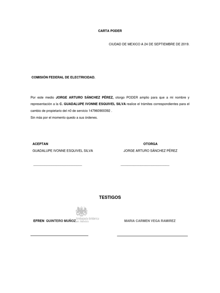 Carta Poder Cfe | PDF