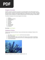 NCERT Animal Kingdom Classification Guide | PDF