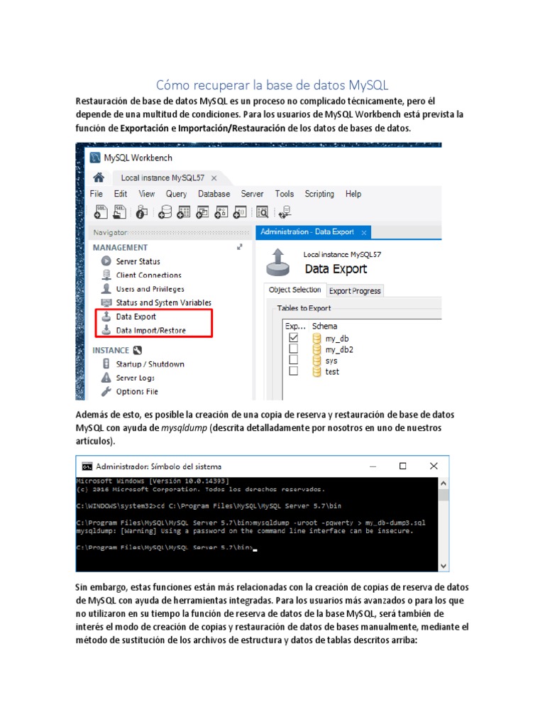 Cómo Recuperar La Base de Datos MySQL | PDF | Mi sql | Archivo de ...