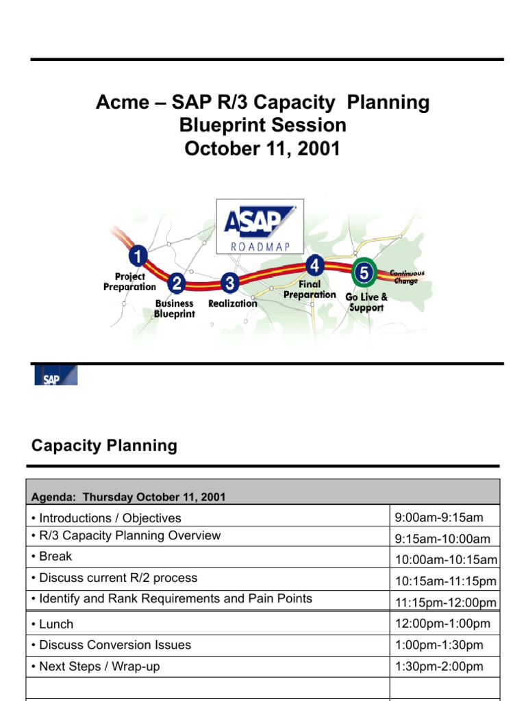 Capacity Planning in SAP | PDF | Probability Distribution | Computing