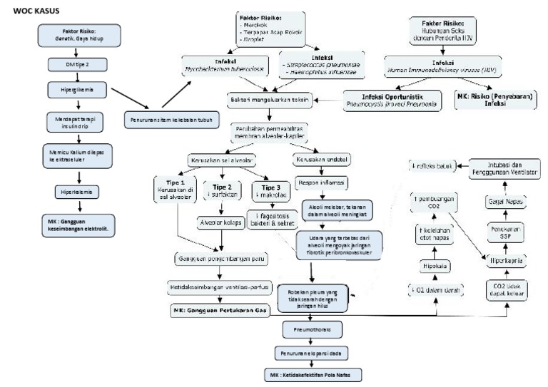 WOC Gagal Nafas E.C Pneumonia | PDF