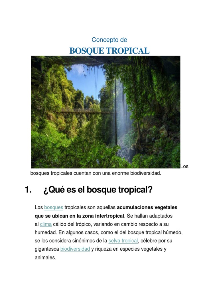 Bosque Tropical | PDF | Selva | Zona tropical