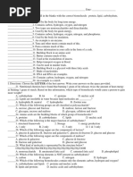 Biomolecules Structure and Function Worksheet | PDF | Biomolecules ...