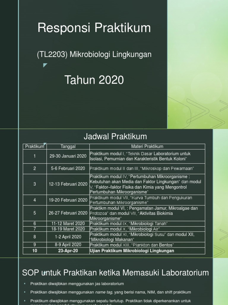 Responsi Awal Praktikum | PDF