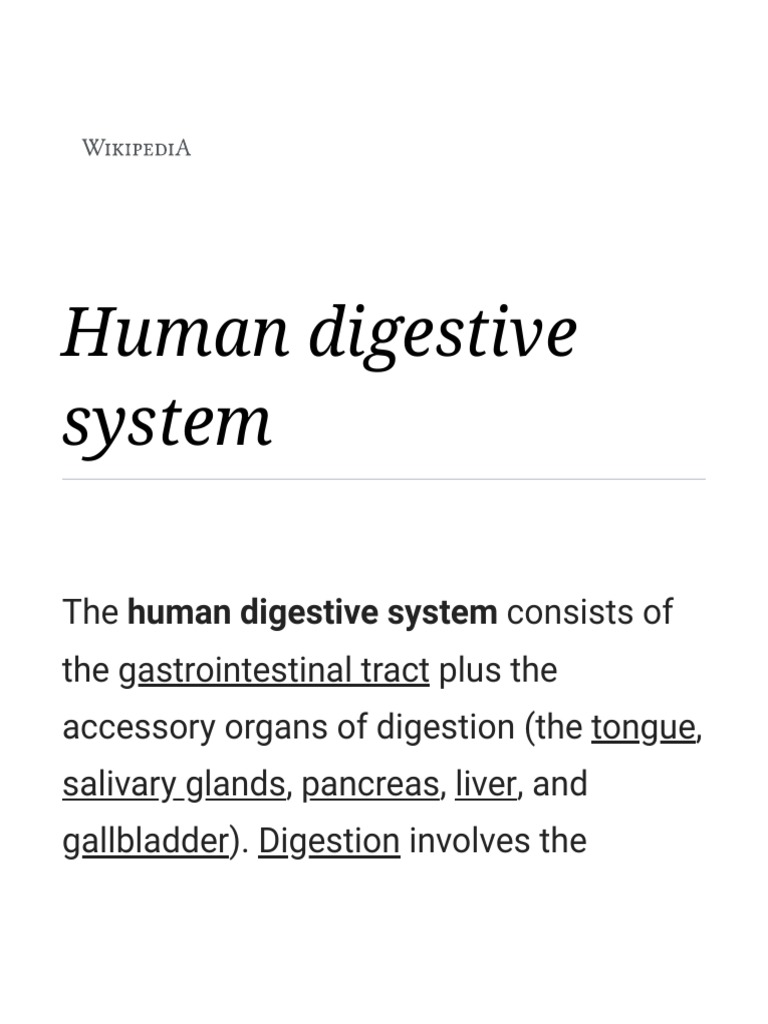 Human Digestive System - Wikipedia PDF | PDF | Human Digestive System ...