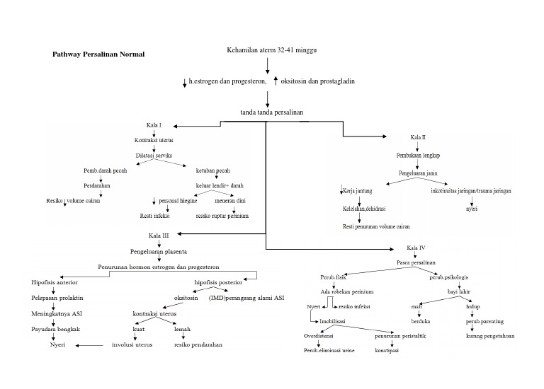 pathway persalinan