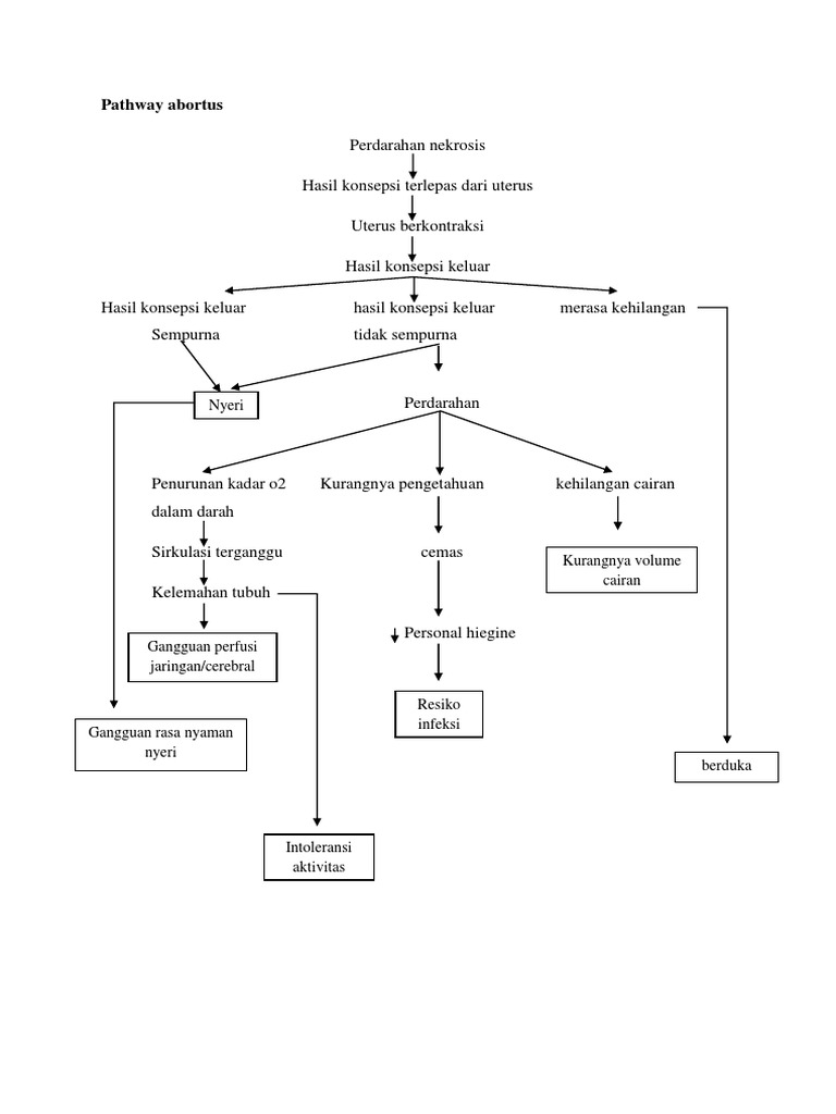 Pathway Abortus | PDF