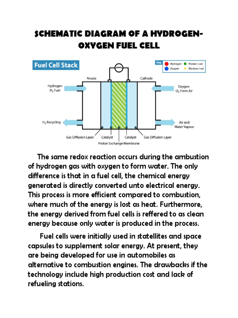 Hydrogen-Oxygen Fuel Cell Overview | PDF | Home & Garden | Science ...