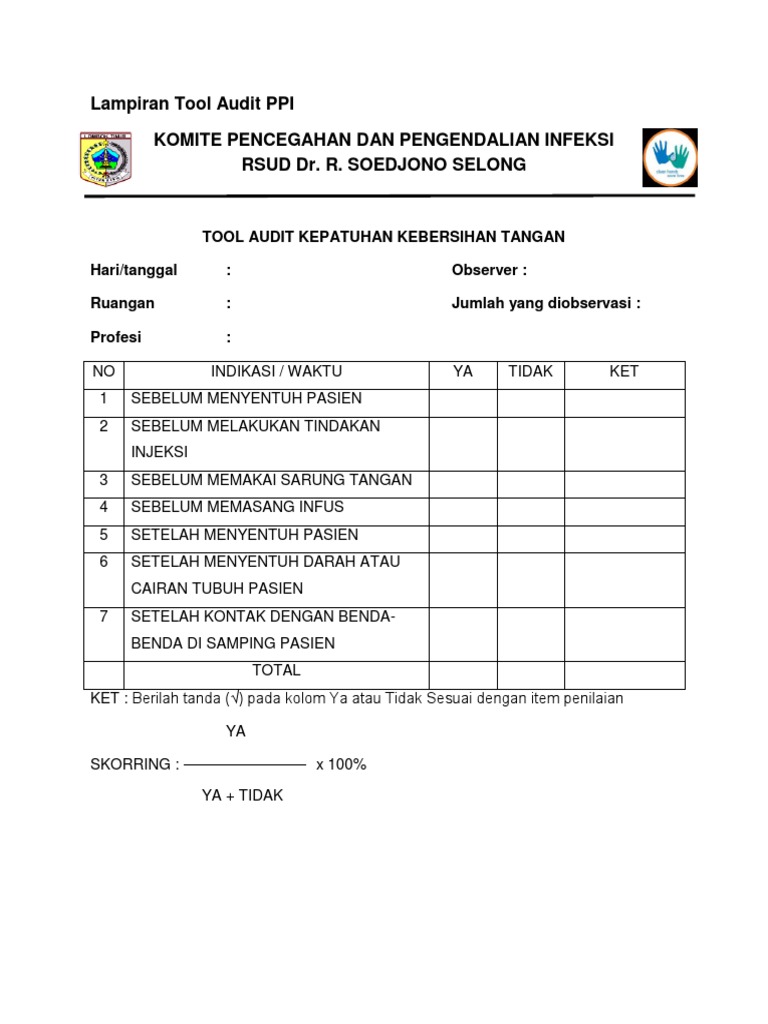 Tool Audit Ppi | PDF