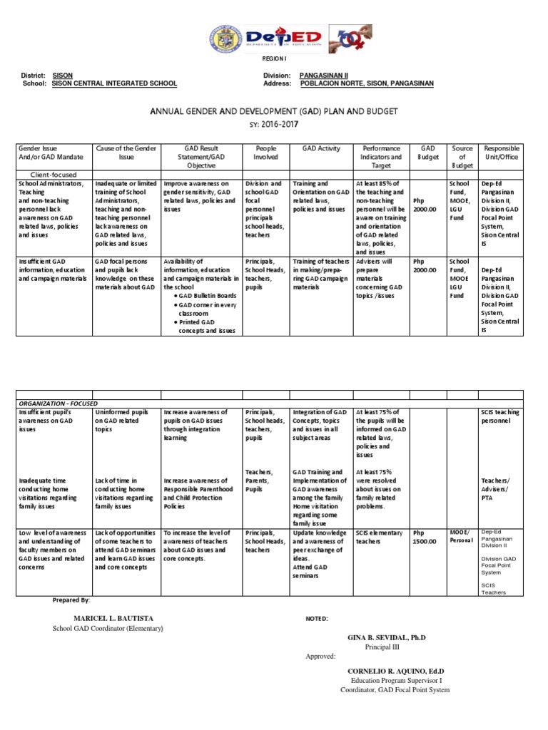 GAD Plan and Budget 2024 Overview | PDF