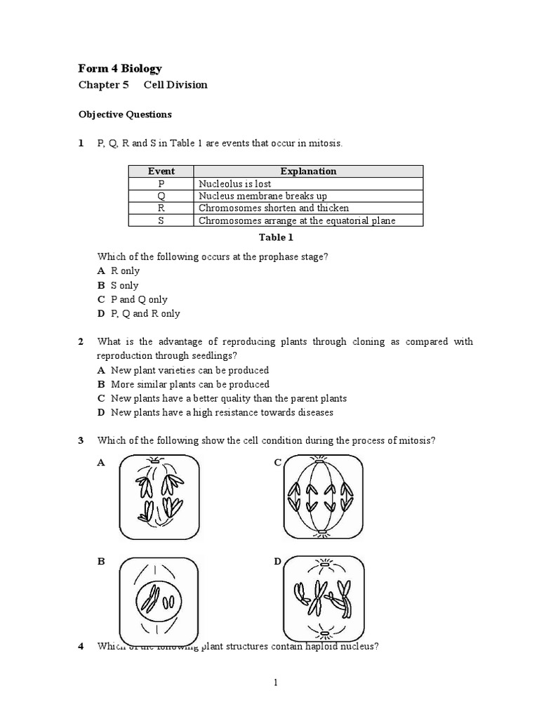 Exercise on Cell Division | Earth & Life Sciences | Biology