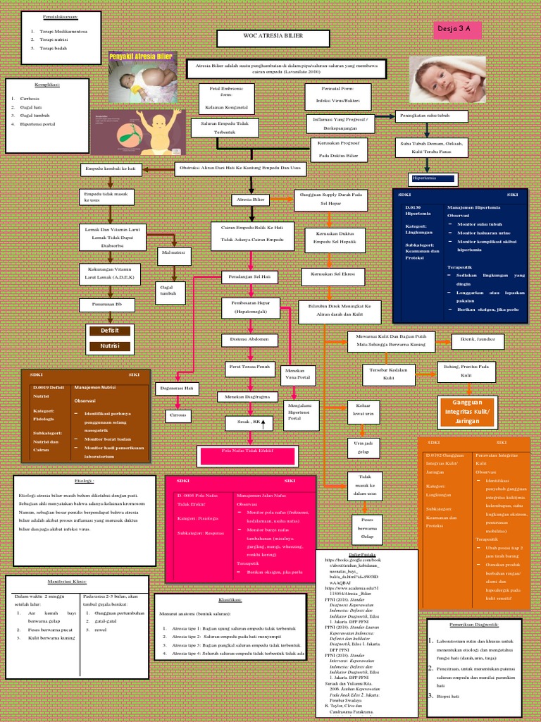 WOC Atresia Bilier | PDF