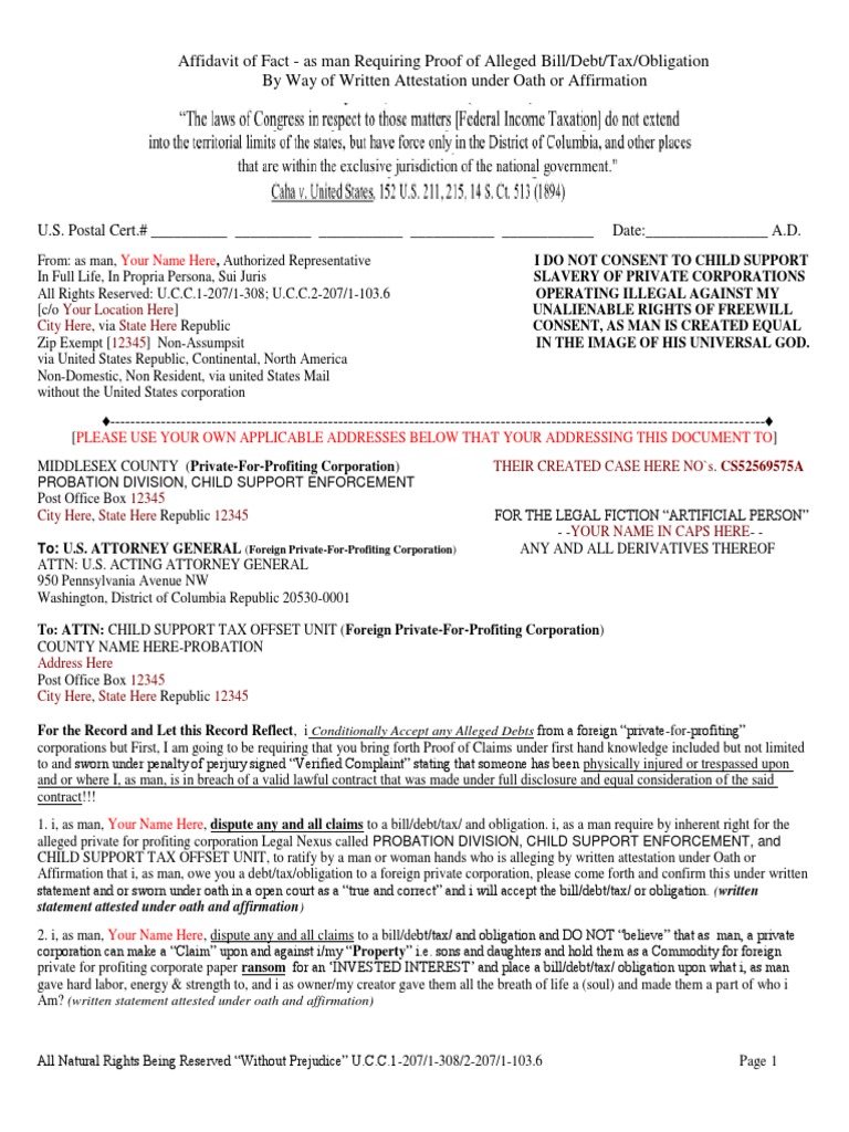 Notice of fact - CHILD SUPPORT CHALLENGE