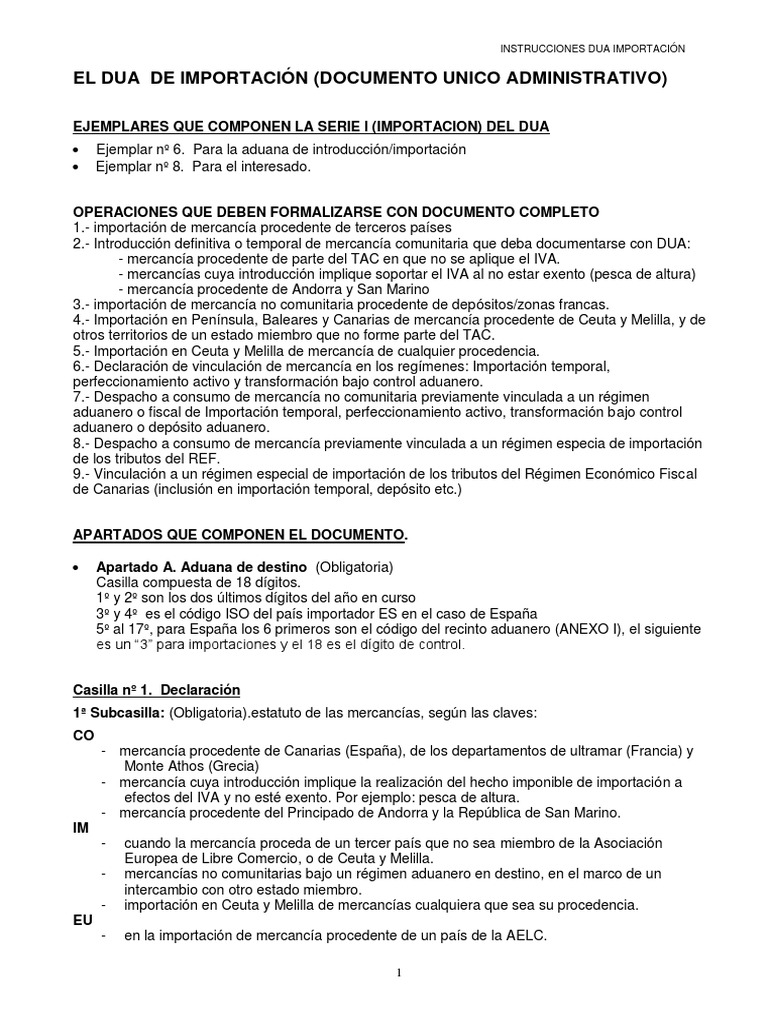 DUA Importacion (Instrucciones) | PDF