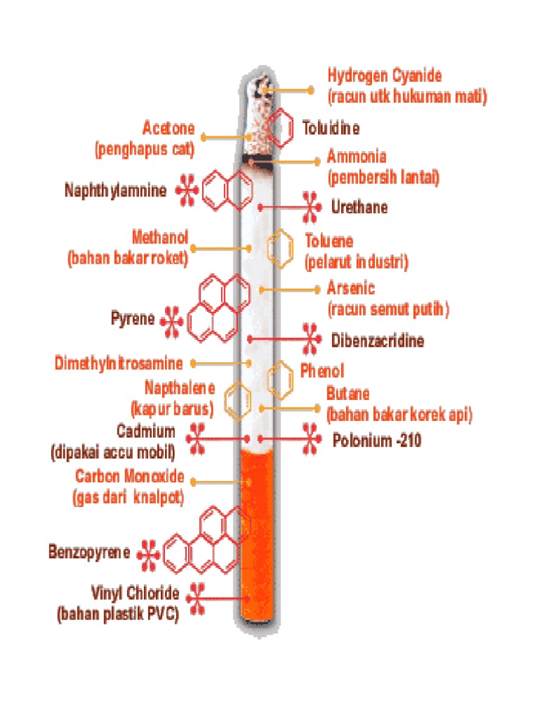 Daftar Senyawa Kandungan Rokok Yang Berbahaya | PDF