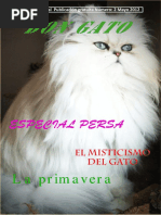 Texto Expositivo El Gato | PDF
