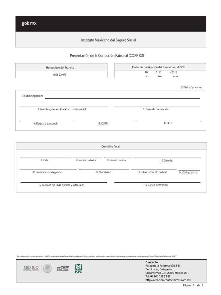 Corrección Patronal IMSS: Formato y Guía | PDF