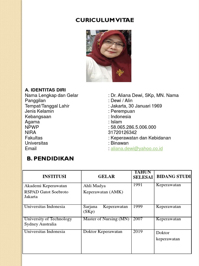 CV Alin 2019 | PDF