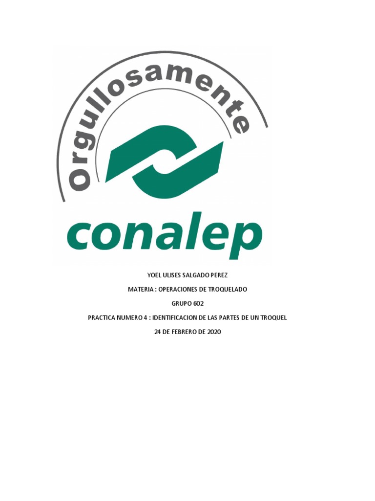 Pártes de Troquel | PDF | Ingeniería mecánica | Naturaleza