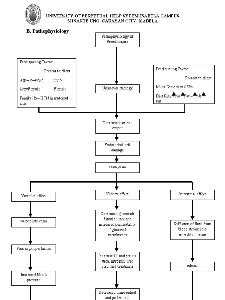 PreEclampsia Pathogenesis Calgary Guide