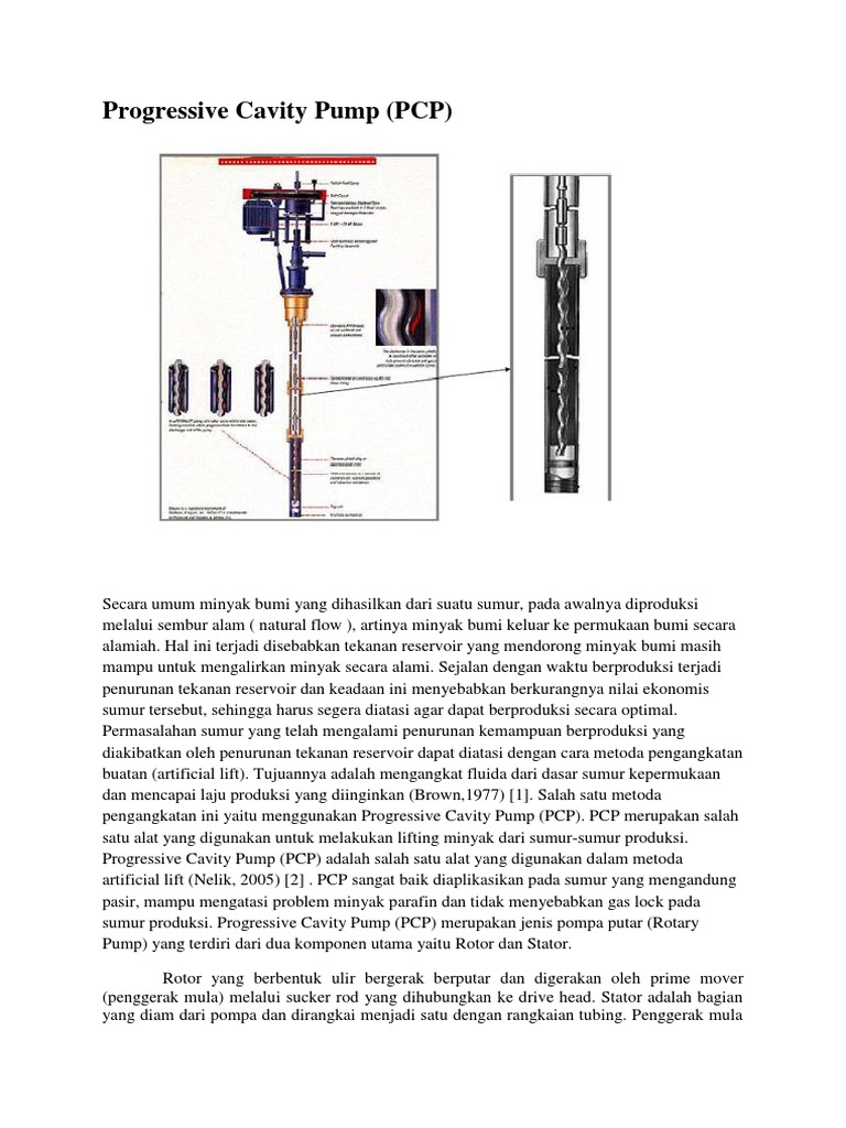 Analisis dan Kinerja Pompa PCP | PDF