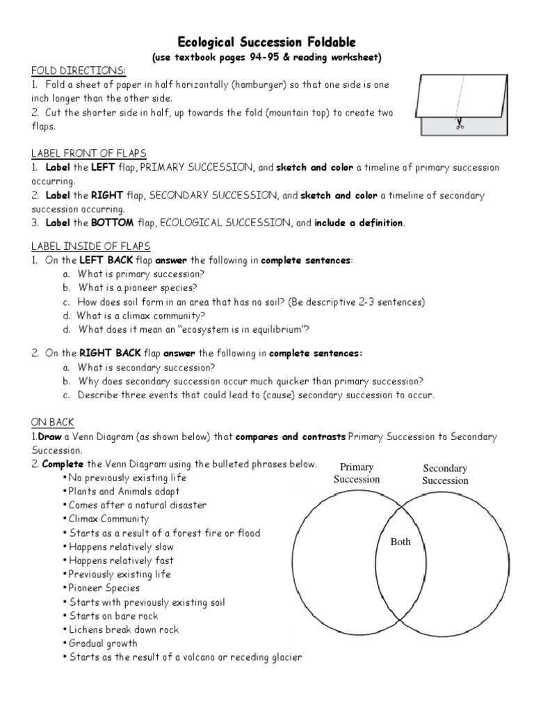 Ecological Succession Foldable | PDF
