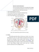Pemahaman Tractus Urinaria dan Fisiologinya | PDF