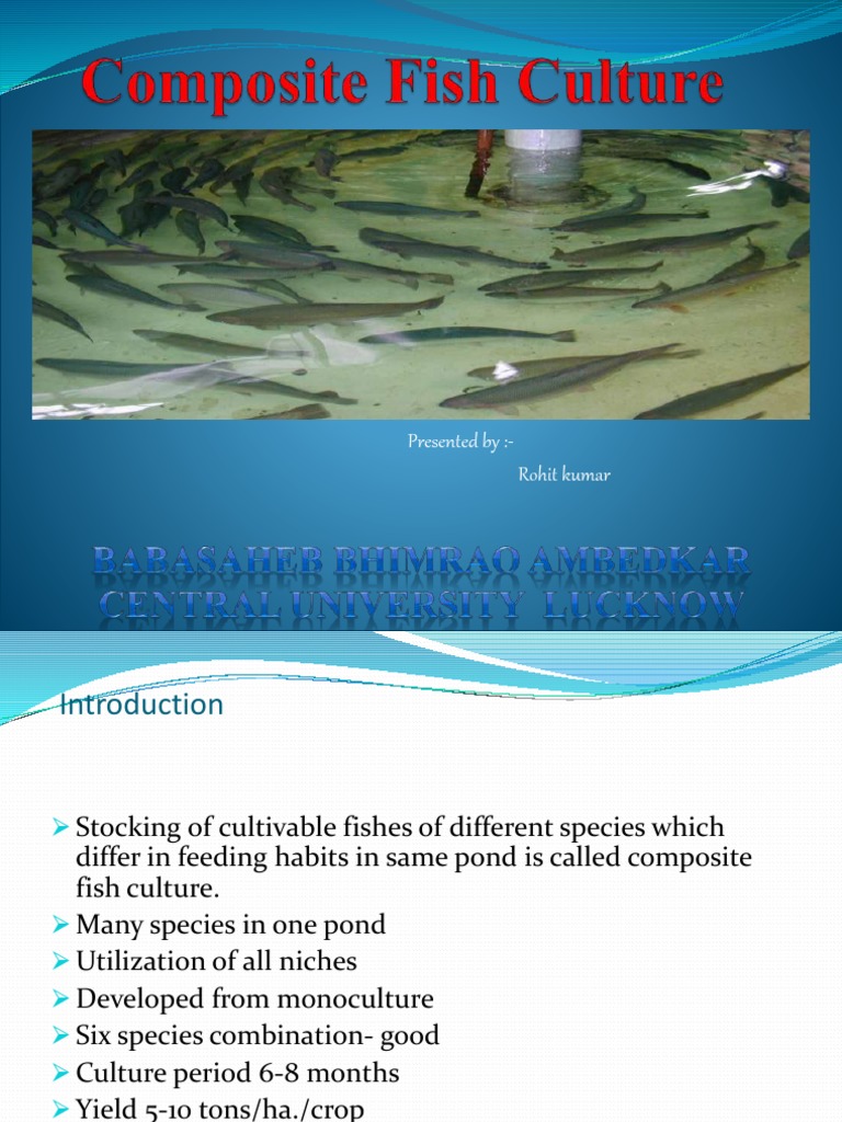 Compositefishculture 180203120330 | PDF | Soil | Fertilizer