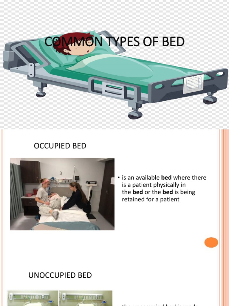 A Comprehensive Guide to Common Bed Types and Their Uses in Healthcare ...