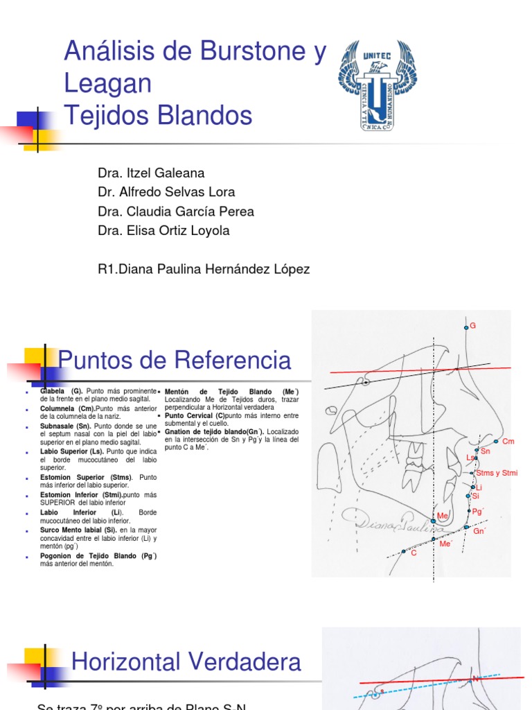 Análisis Cefalométrico de Burstone y Leagan | PDF | Anatomía de los ...
