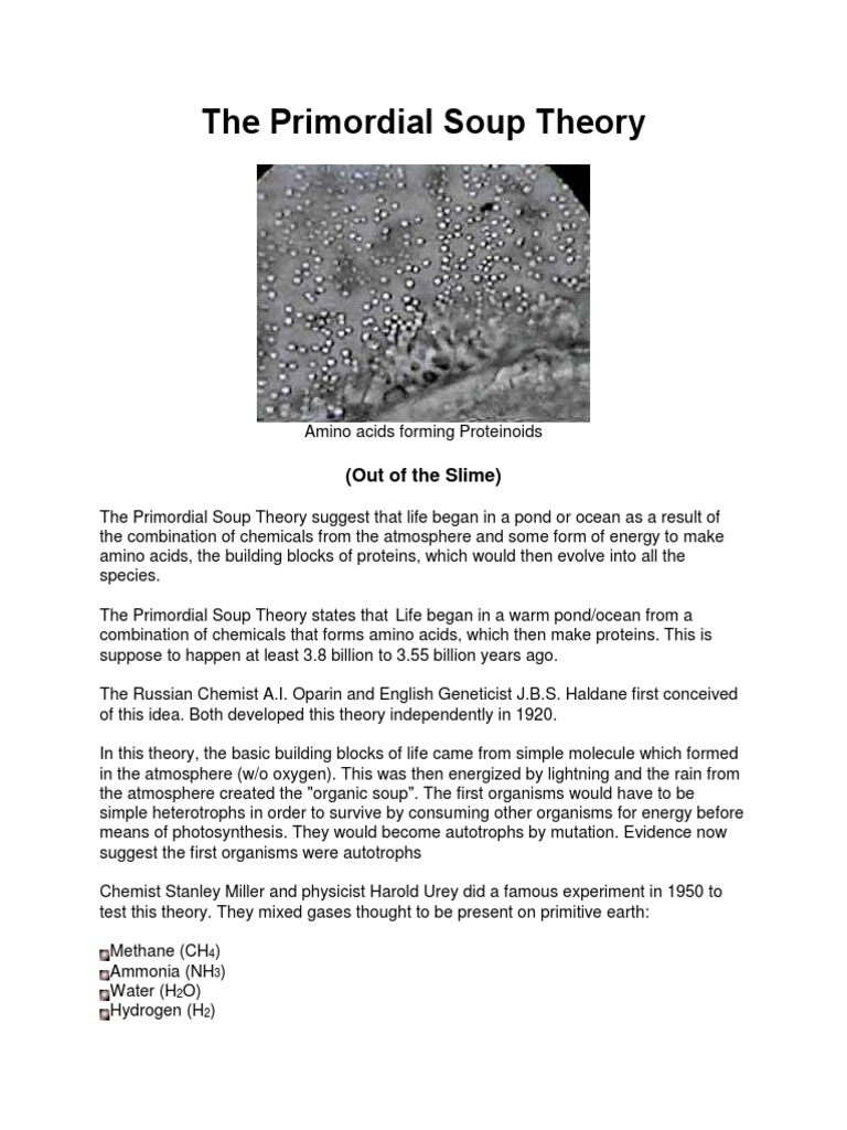 The Primordial Soup Theory | PDF | Science | Science And Technology