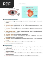 Soal Panca Indra Kelas 3 | PDF