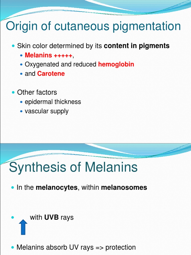 Overview of Skin Pigmentation Disorders | PDF | Integumentary System ...