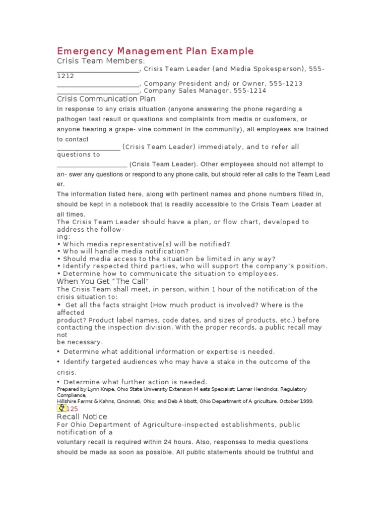 Emergency Management Plan Example | PDF | Public Sphere | Government