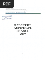 Raport Activitate Model | PDF