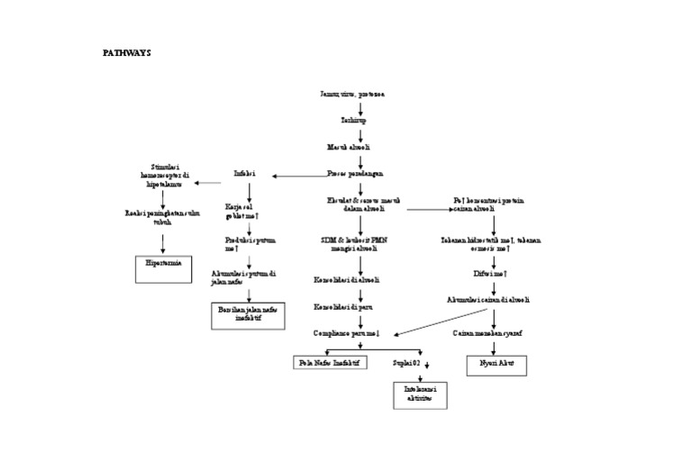 Pathway Pneumonia | PDF