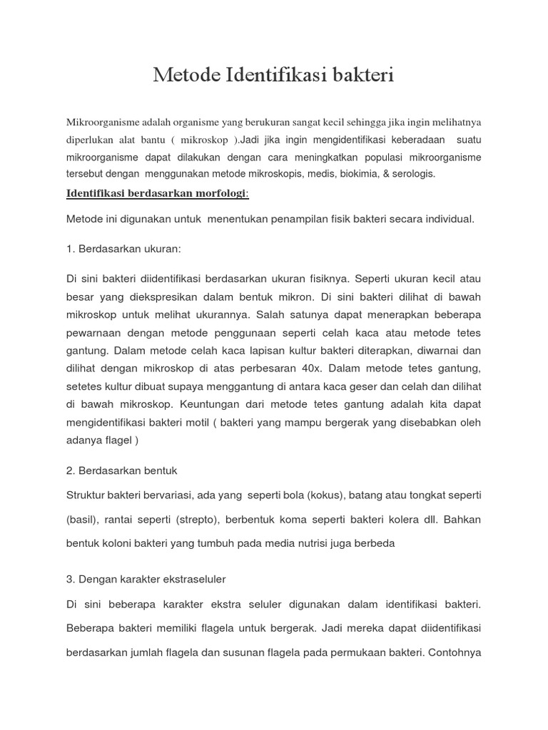 Metode Identifikasi Bakteri | PDF