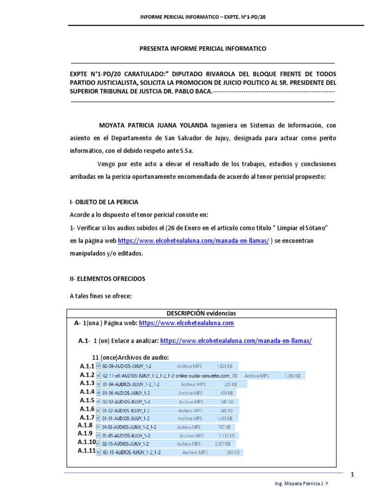Presenta Informe Pericial Informatico Audios 2020 F | PDF