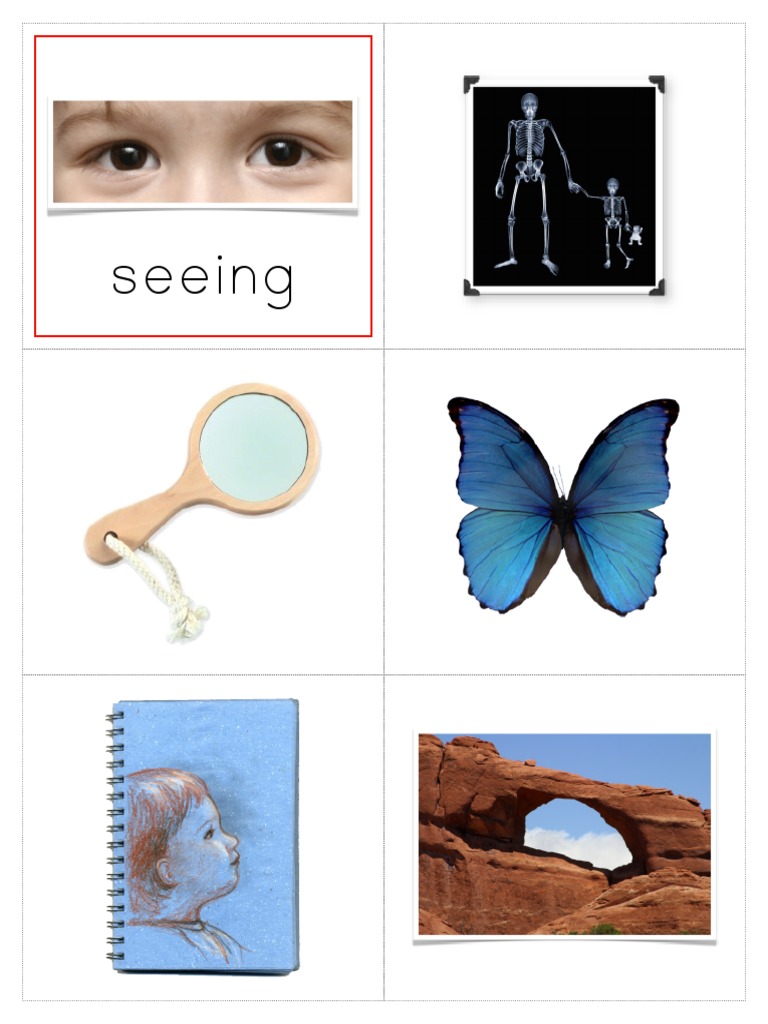 5 Senses Matching Cards PDF | PDF