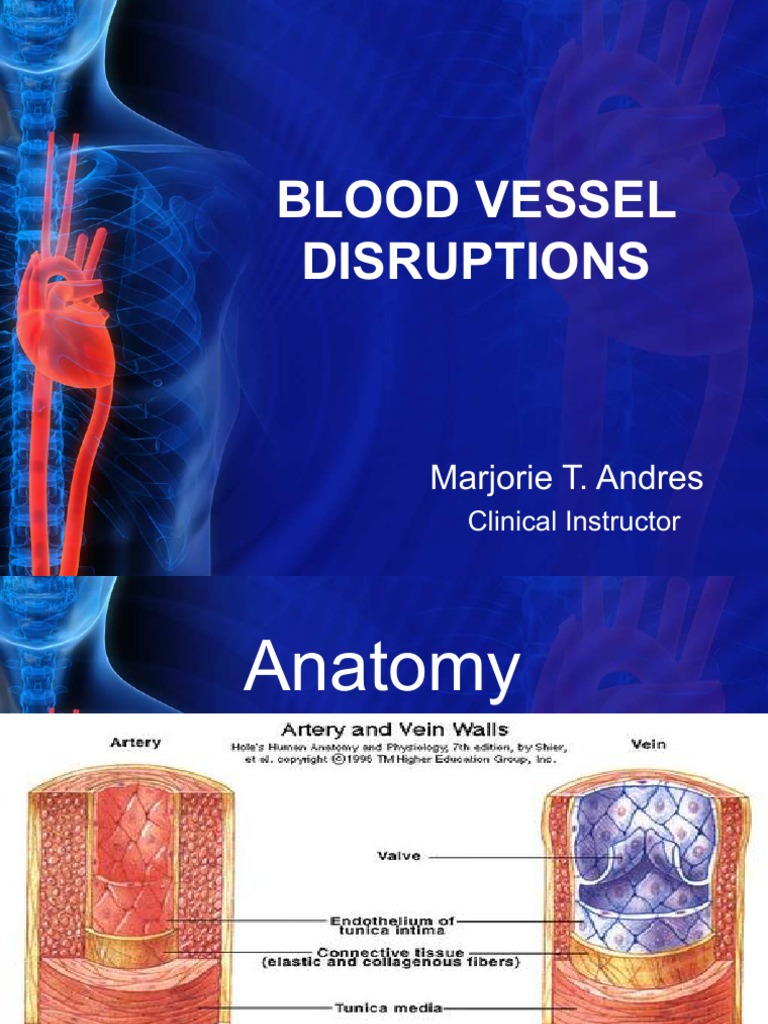 Blood Vessel Disruptions and Diseases | PDF