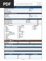 SGC-Fr-041 Protocolo de Revoques y Enlucidos | PDF