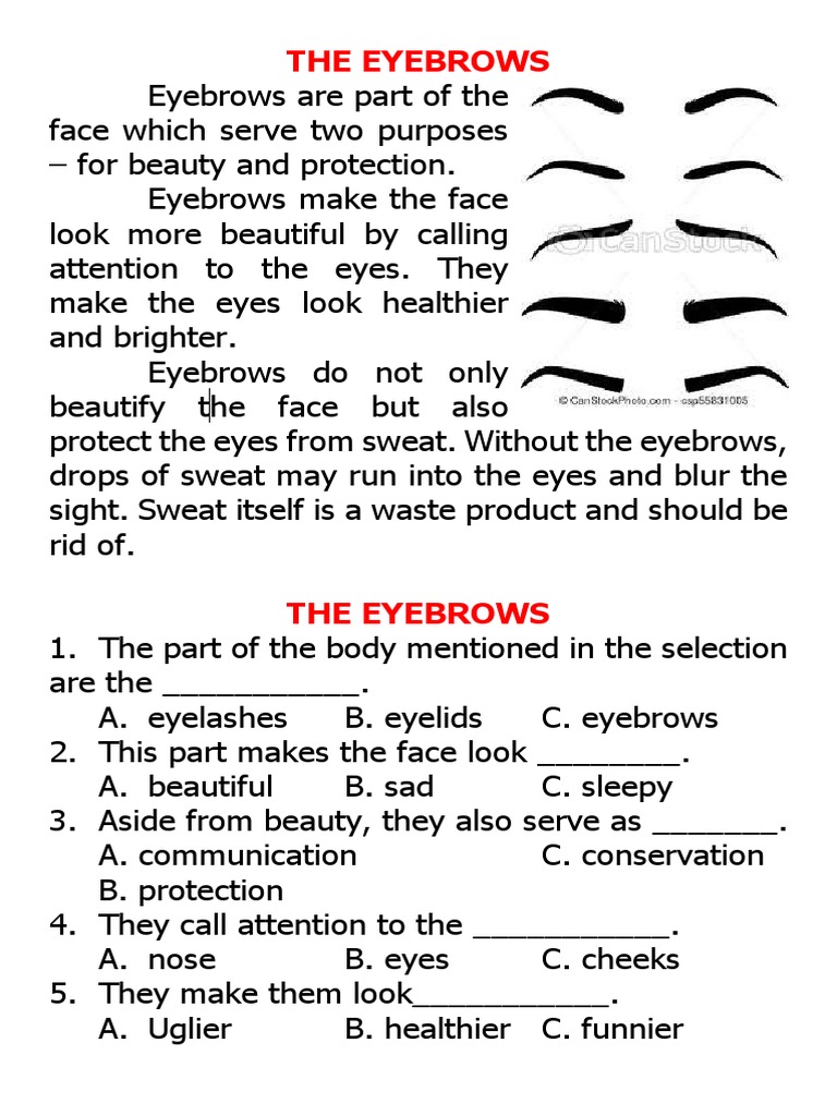 1 The Eyebrows | PDF