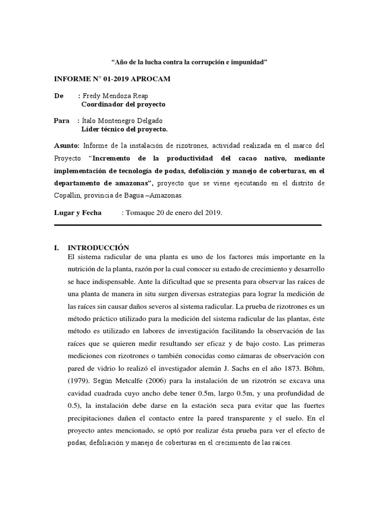 INFORME Rizotrones | PDF