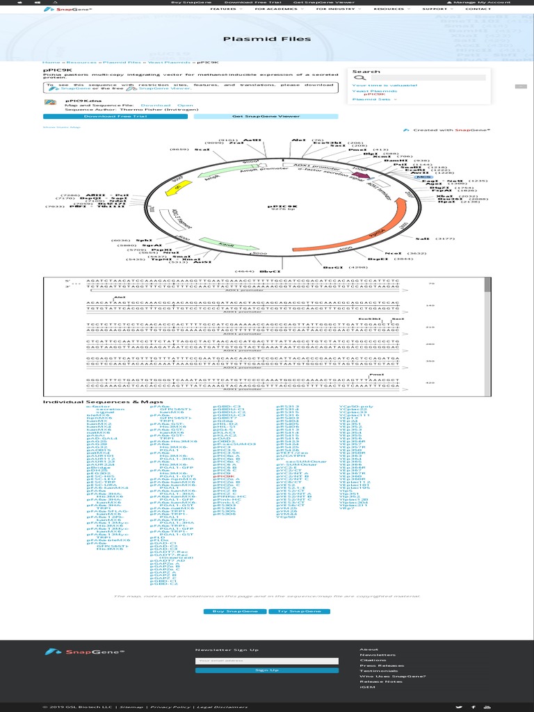pPIC9K Sequence and Map | PDF
