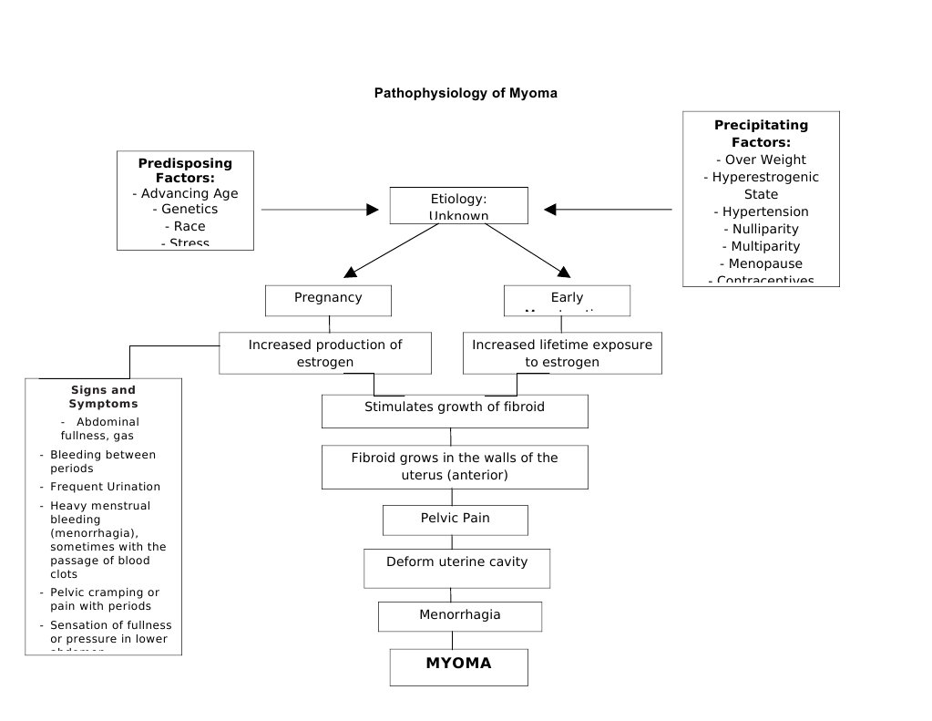 Myoma Pathophysiology Overview | PDF